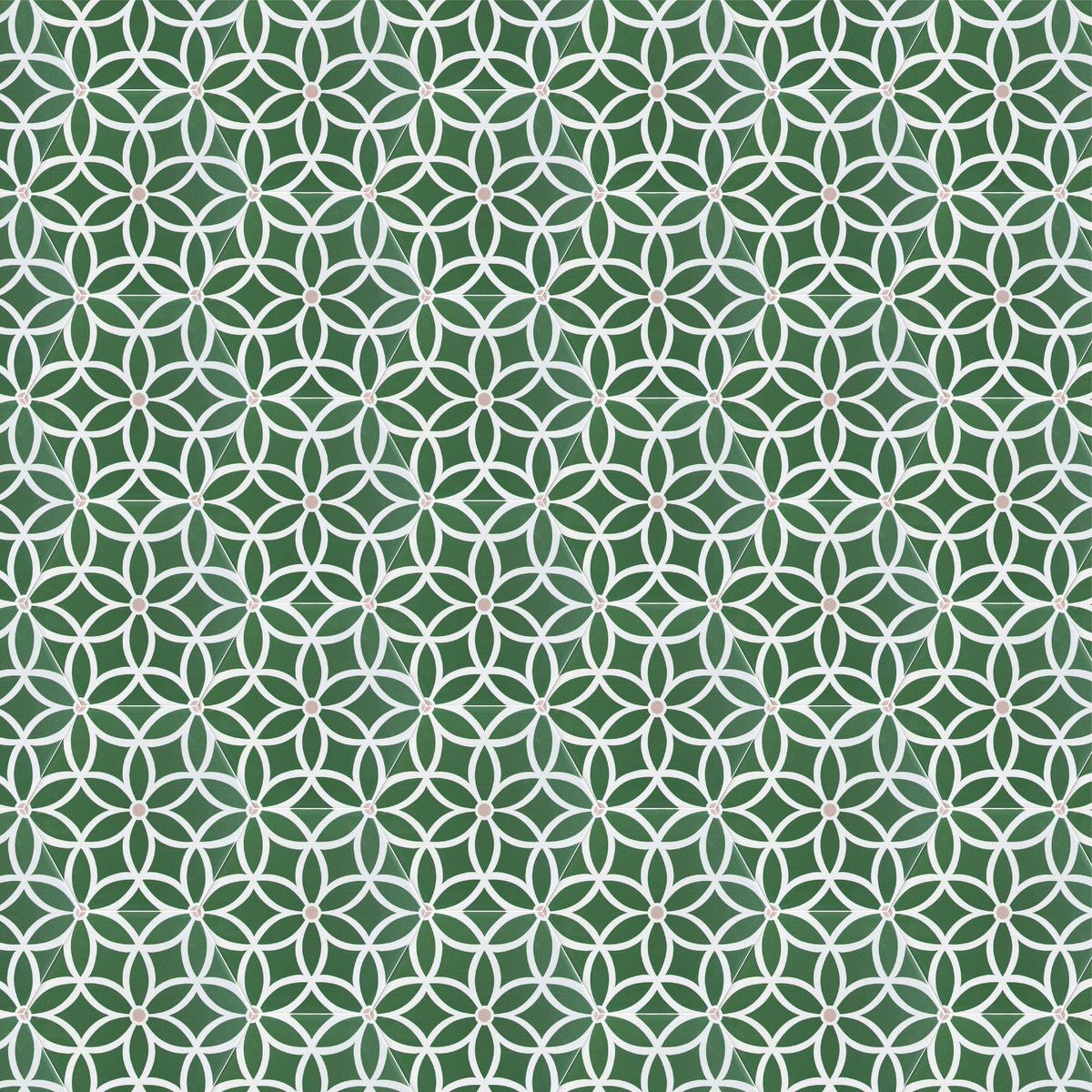 petalsarea-01_1200x1200.jpg?v=1621369193